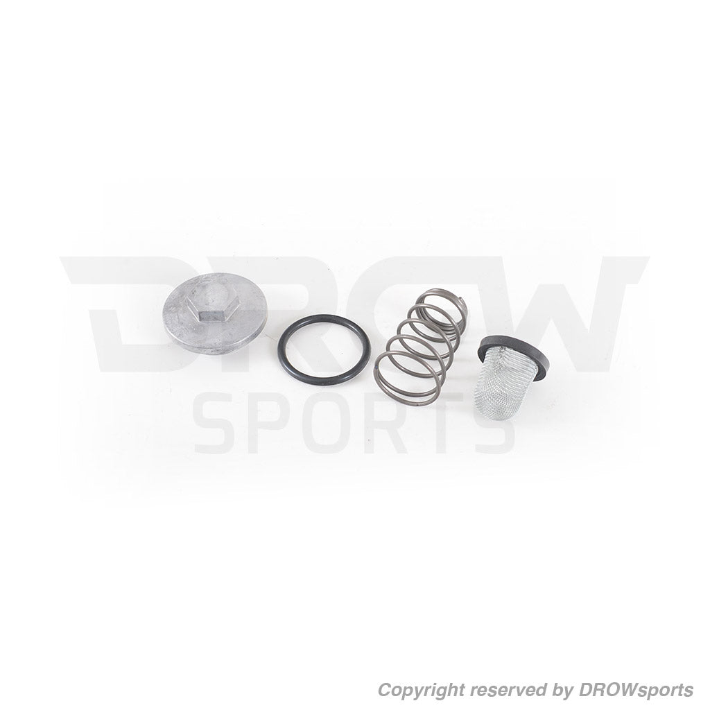 GY6 RZR170 Oil Filter Screen & Plug Kit – DROWoffroad